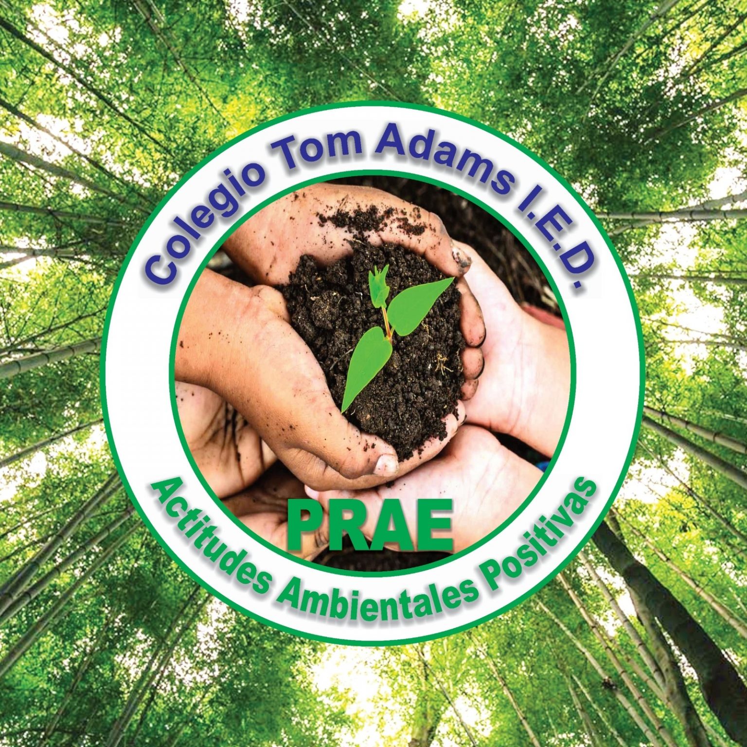 Nuestro Colegio – Colegio Tom Adams IED